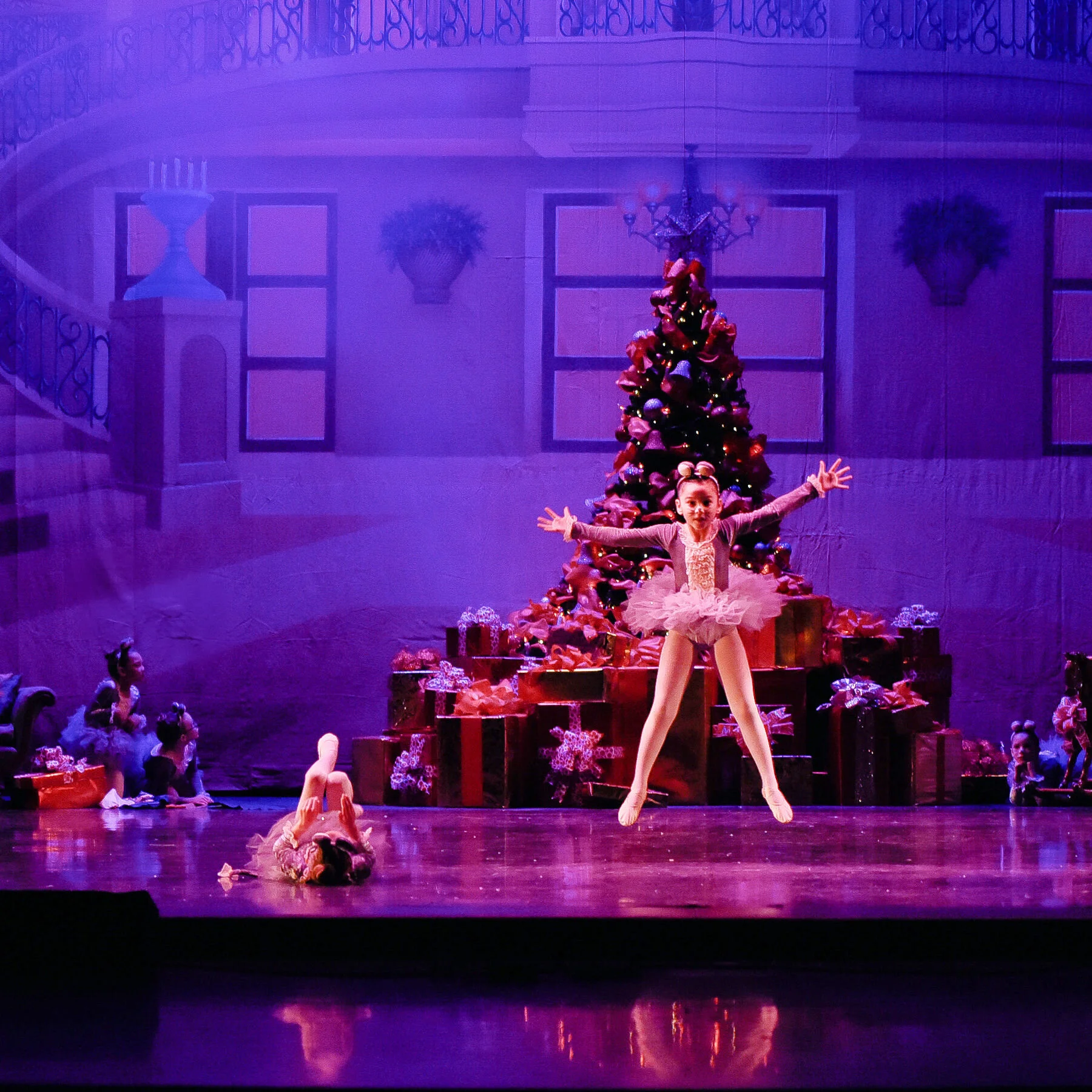 Auditions — Ballet Brazos