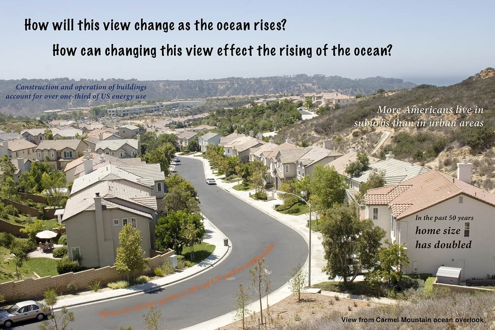 Ruth Wallen Ecological Artist