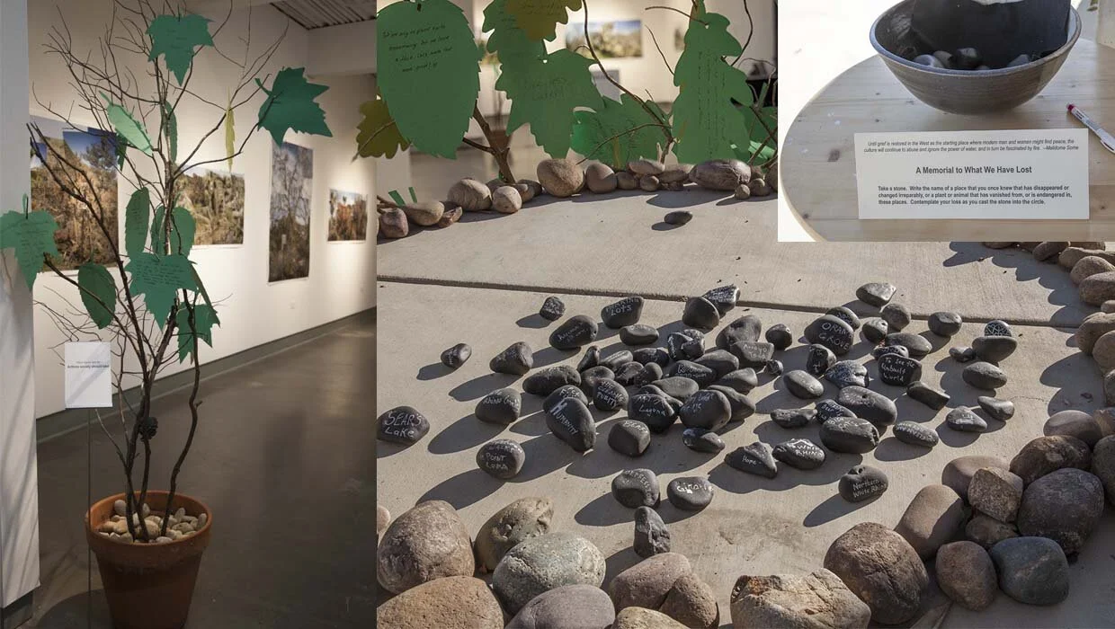 Walking with Trees — Ruth Wallen