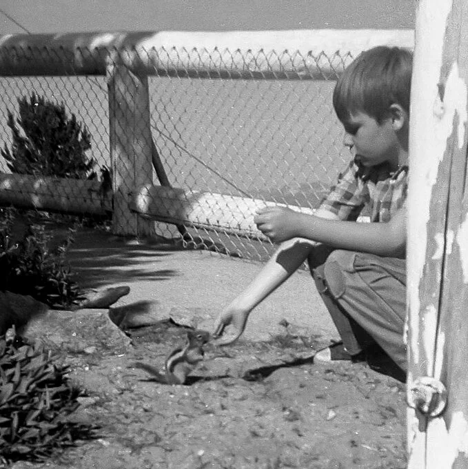 Industrious Dog Handyman Services