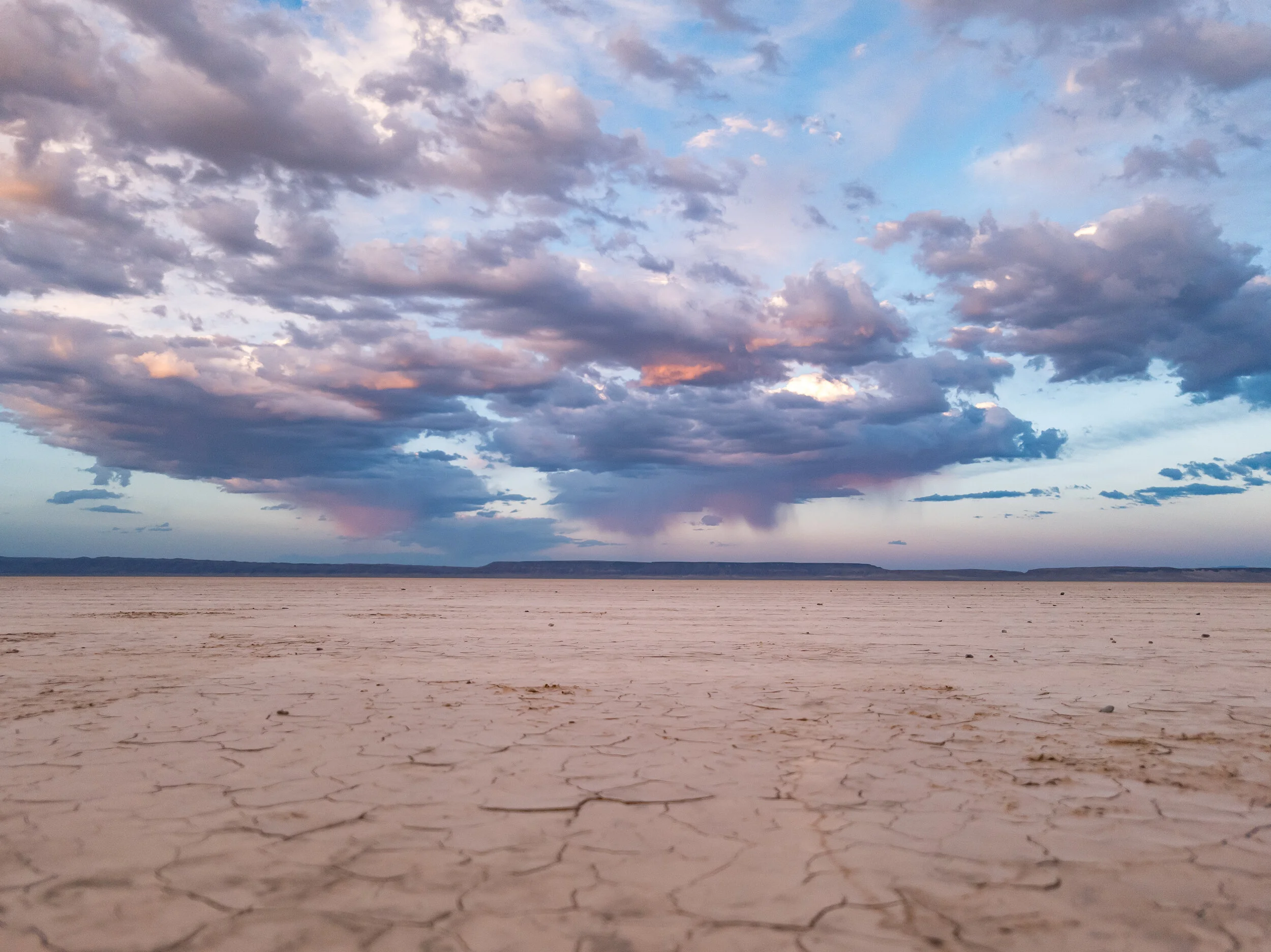 Industrious Dog Woodcraft