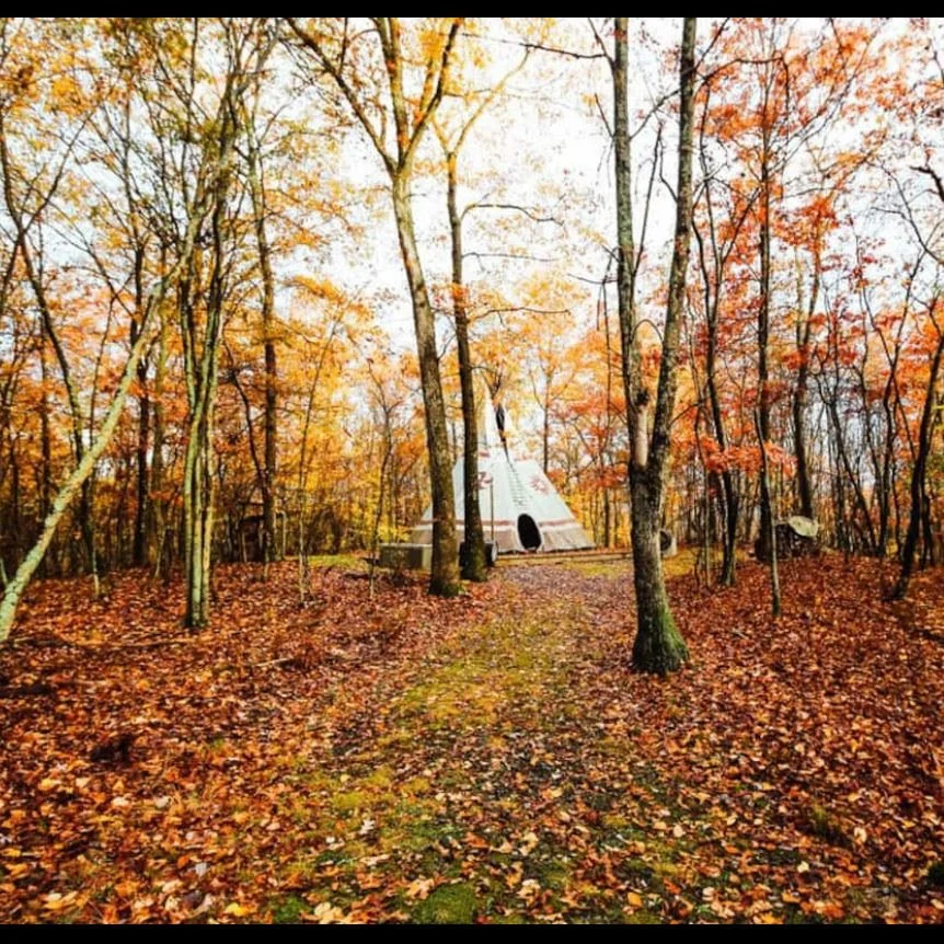 The Wild Within - Sacred Self Retreat — Thrive Embodied Arts - Newton, NJ