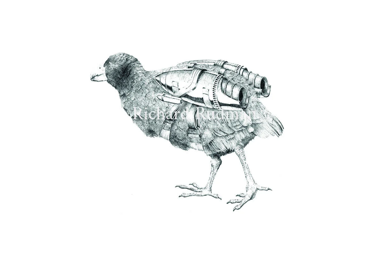 Richard Rudman Artist