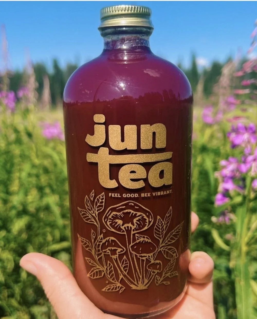 Shop Jun Tea, Hot Shots and Mushroom Tea | Vibrant Roots Organic ...
