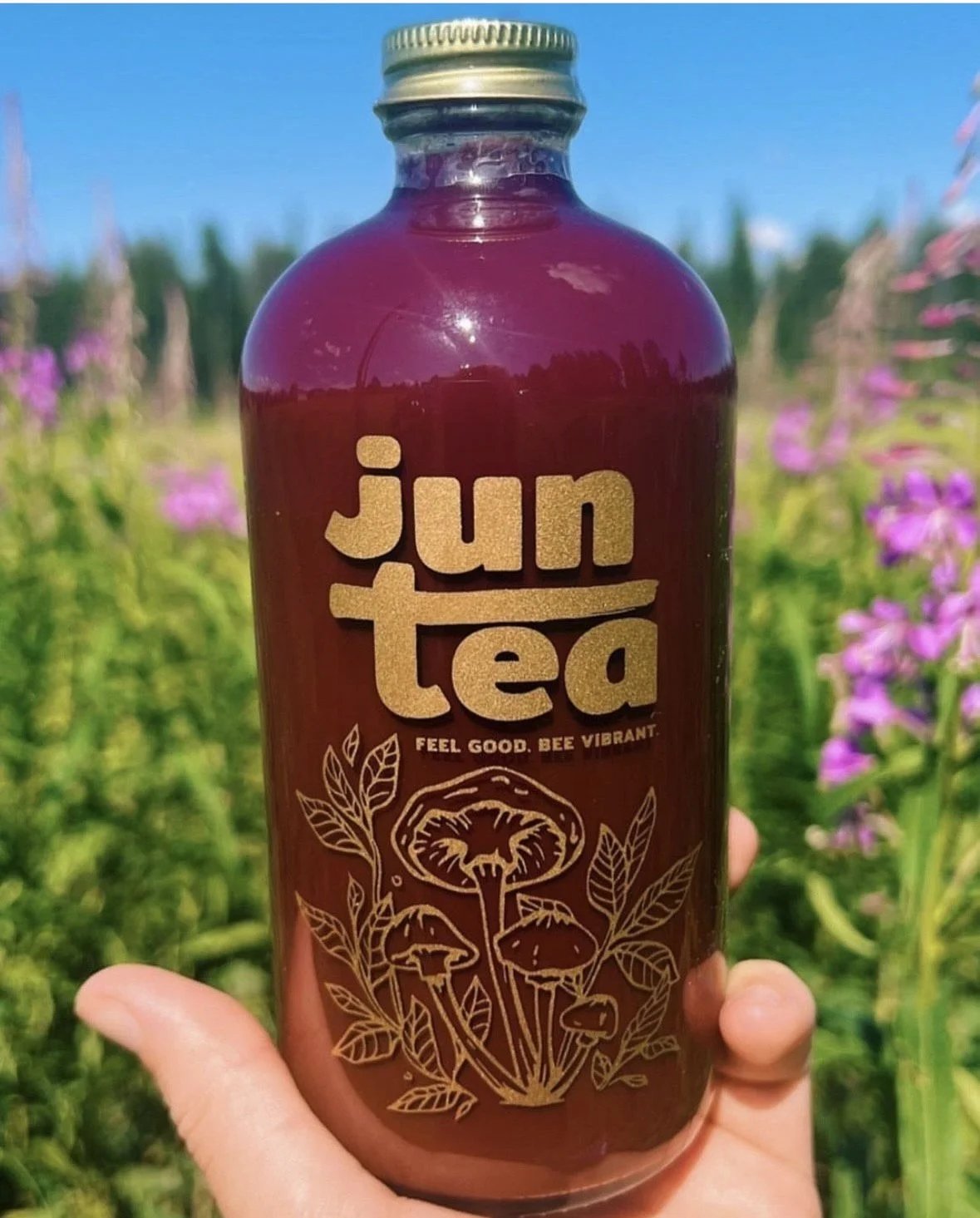 Shop Jun Tea, Hot Shots and Mushroom Tea | Vibrant Roots Organic ...