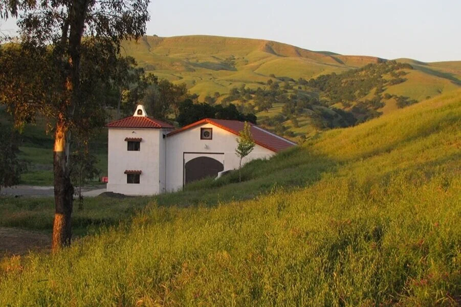 Yolo County Vineyard & Winery Association