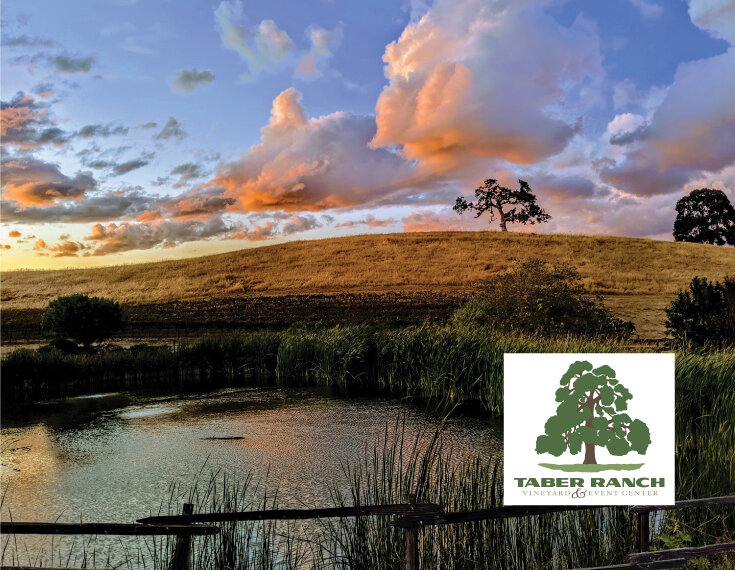 Wineries in Yolo County — Yolo County Vineyard & Winery Association