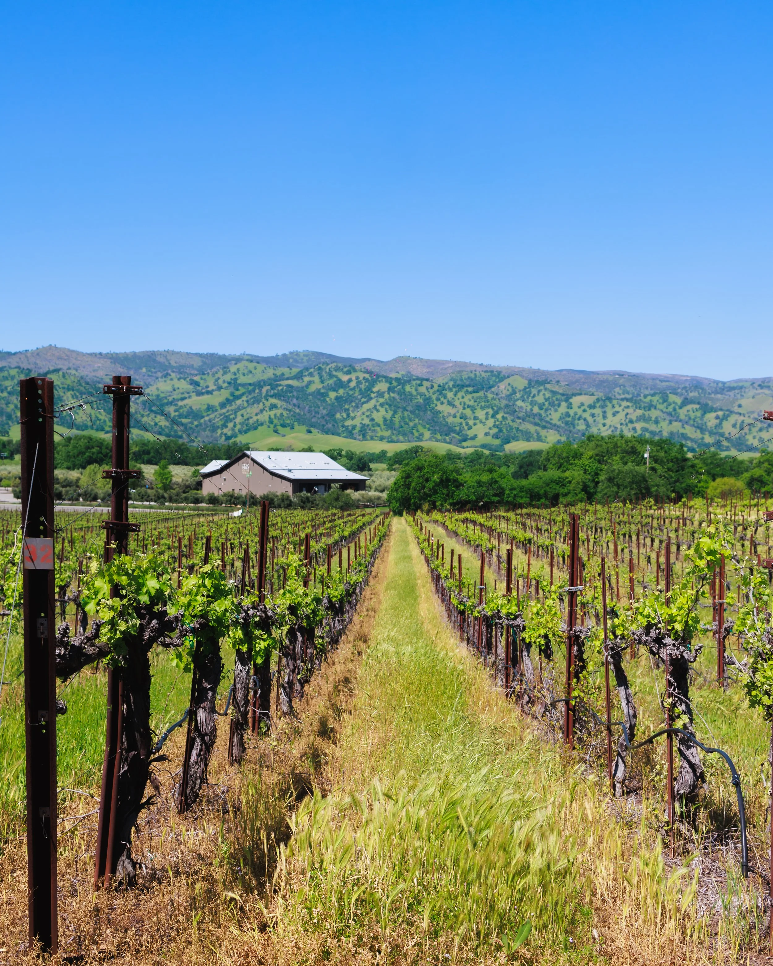 Plan Your Wine Tasting Trip — Yolo County Vineyard & Winery Association