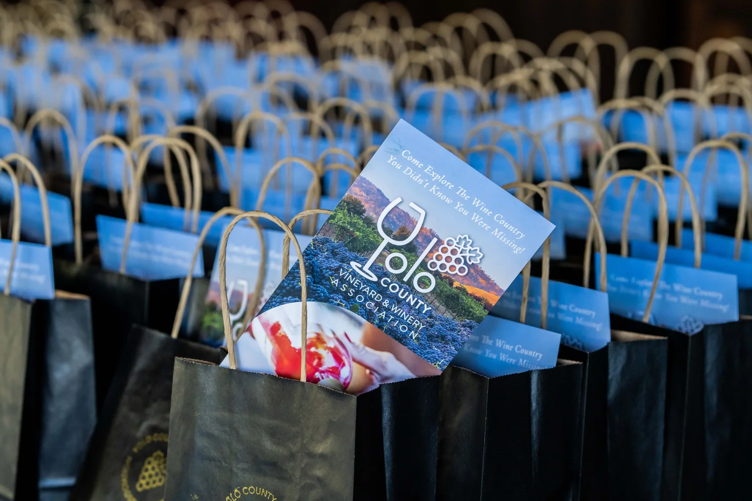 Yolo County Vineyard & Winery Association