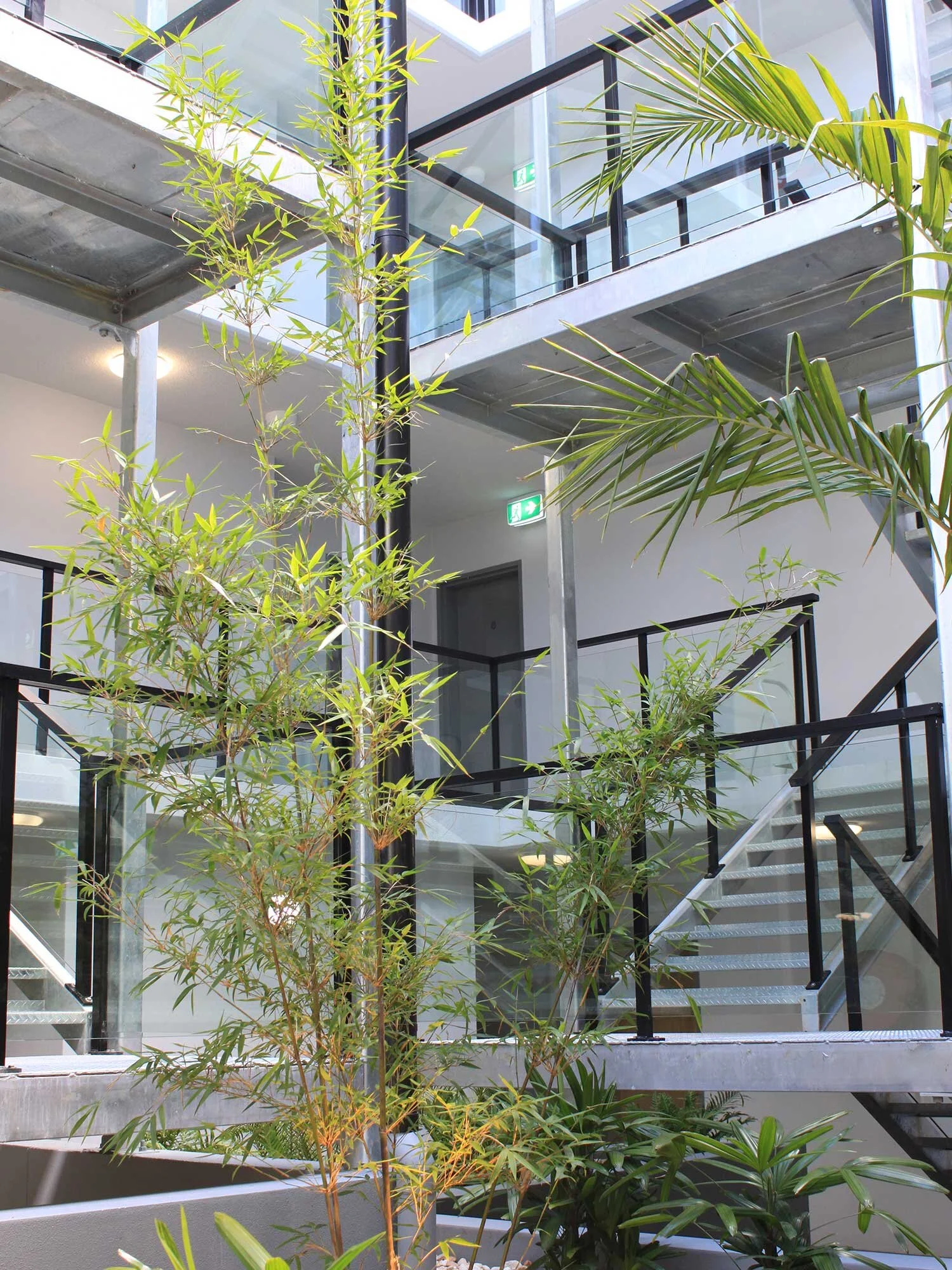 Glass balustrade — Glass Outlet