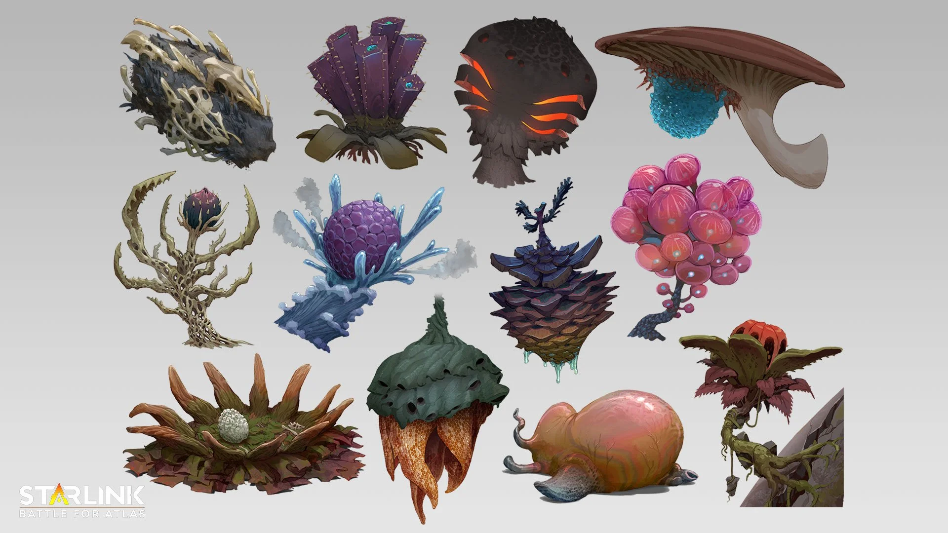 Portfolio — JUSTIN CHAN