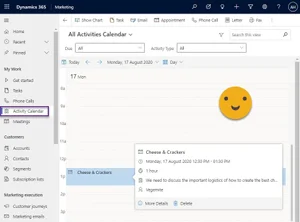 Attractive Activity Calendars in Model-Driven Apps — Amey Holden ...