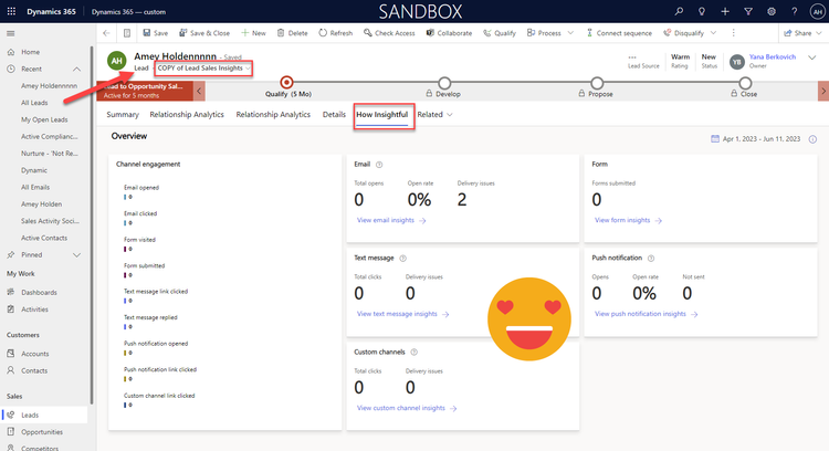 Add the Insights tab to custom Leads and Contact forms in Dynamics 365 — Amey Holden | Anything ...