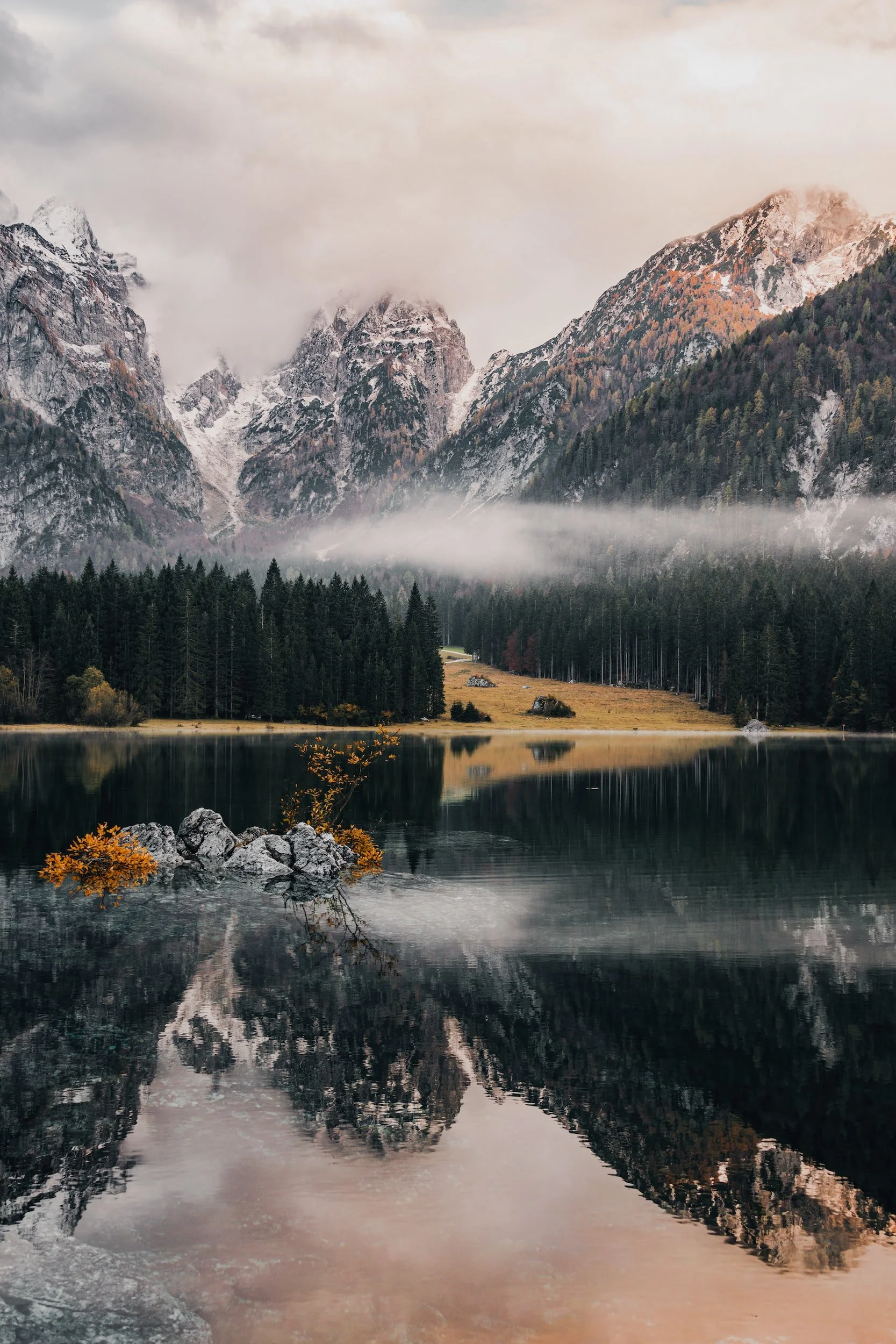 Stronger Oregon - Telehealth Counseling & Therapy for Couples, Families ...