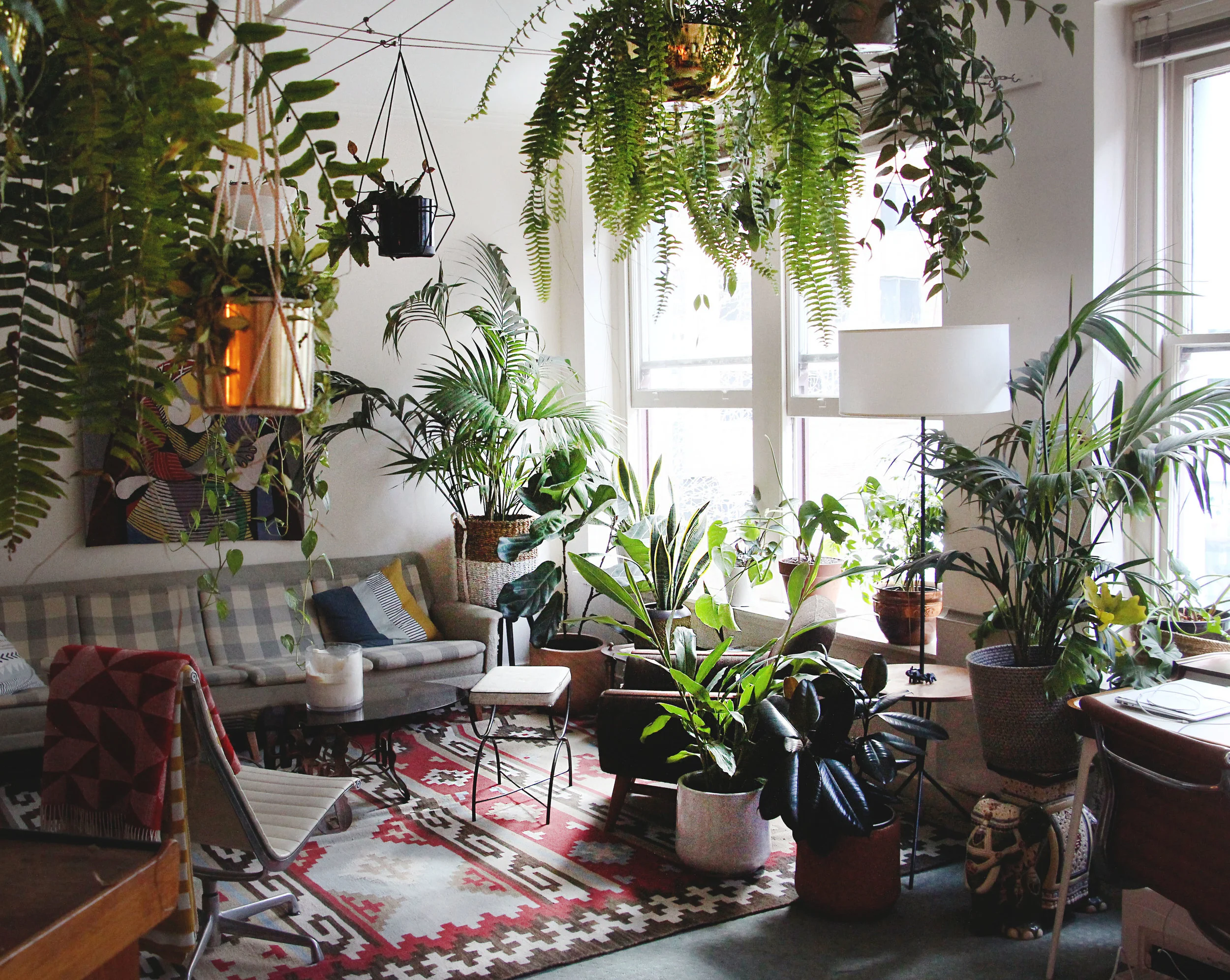 PLANT MAMA