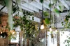 PLANT MAMA