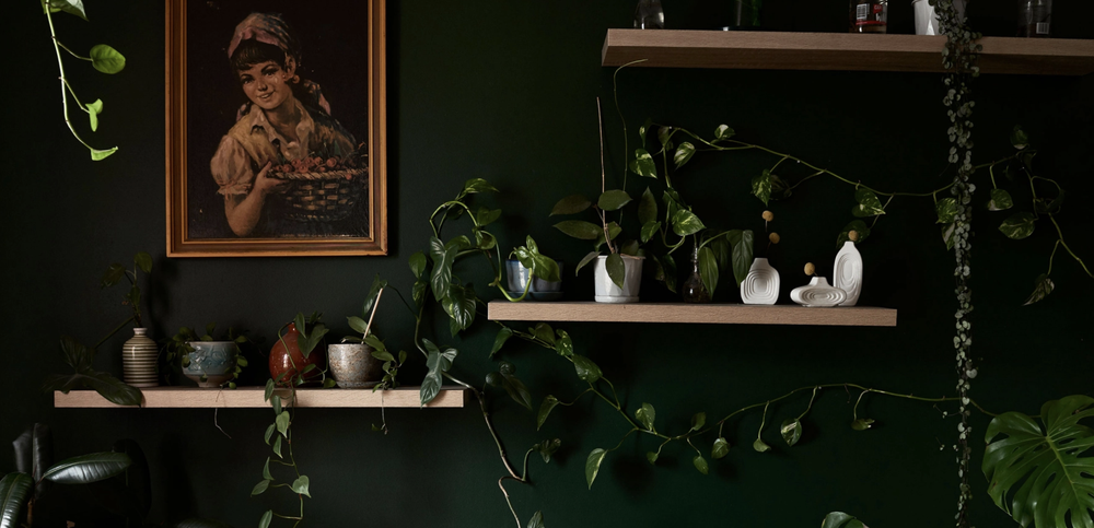 PLANT MAMA