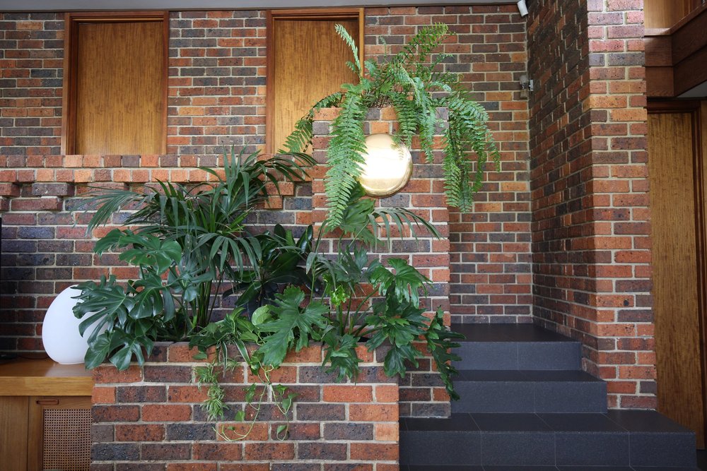 PLANT MAMA