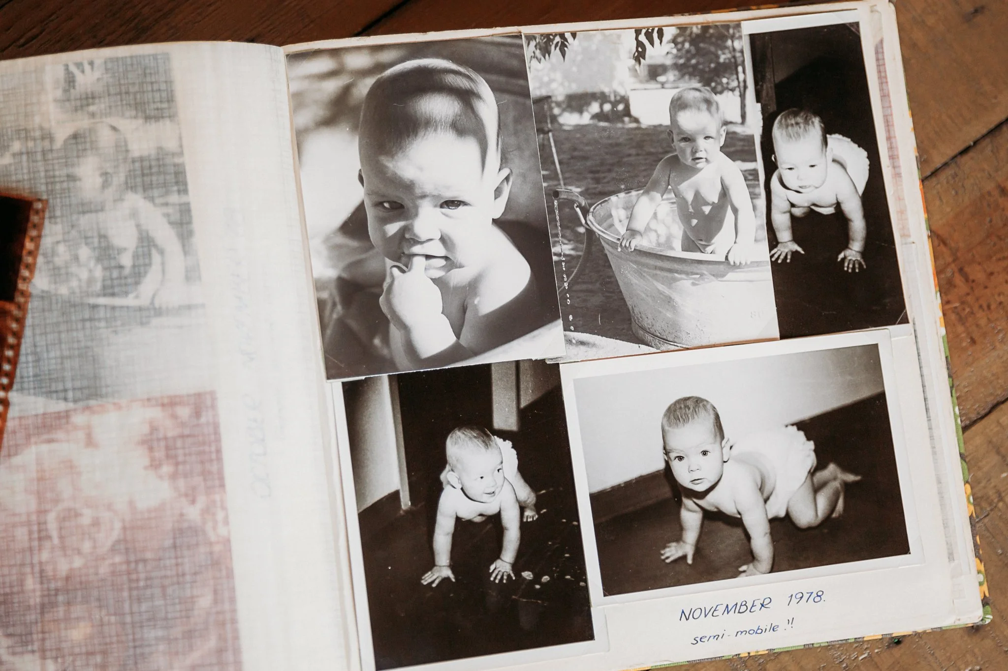 All Inclusive photography packages — Curious Creatures Photography