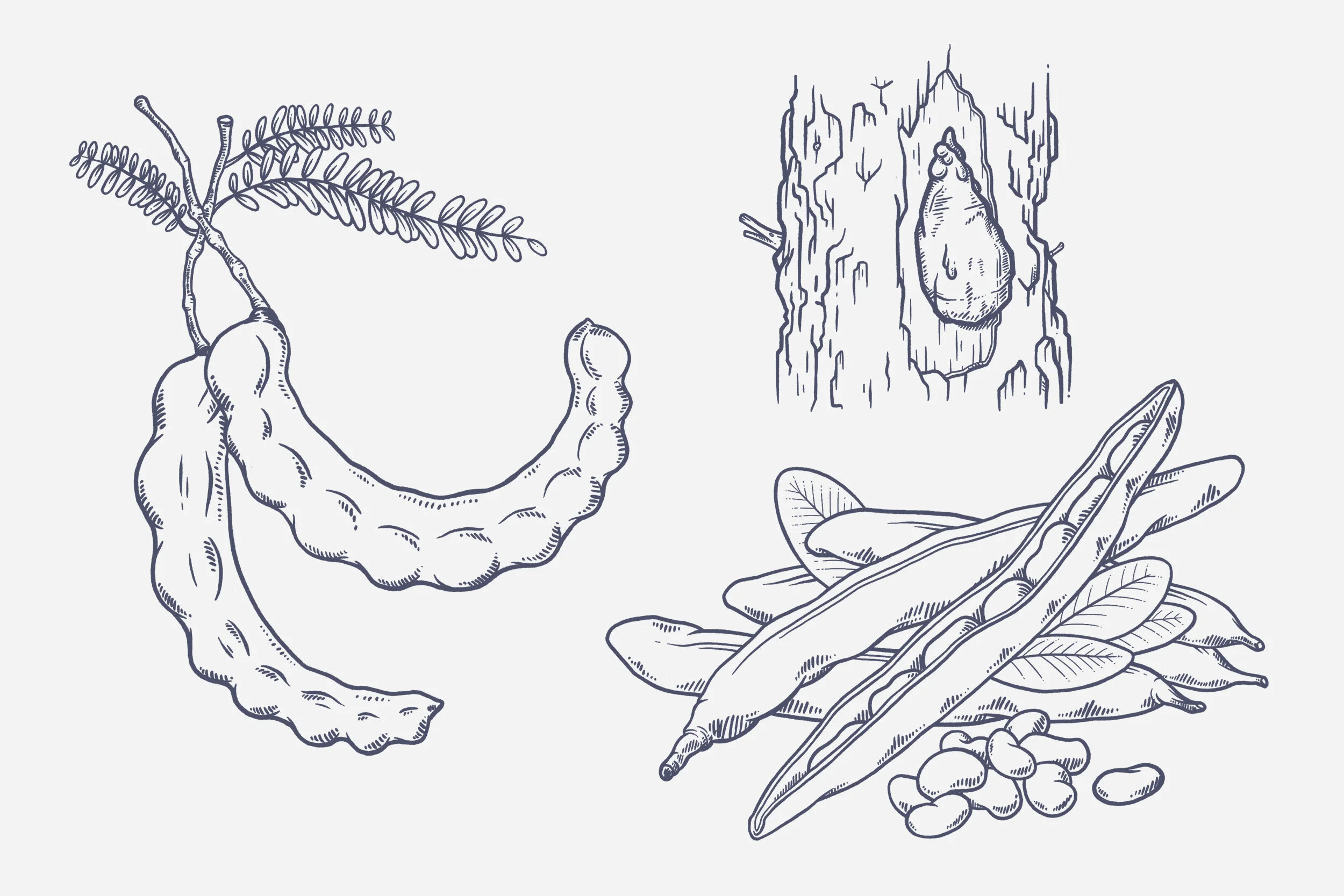 Polygal AG Illustrationen — Ulrich Fuchs – Brand Design & Illustration