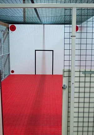 Box Soccer Benefits — Kansas City Legends