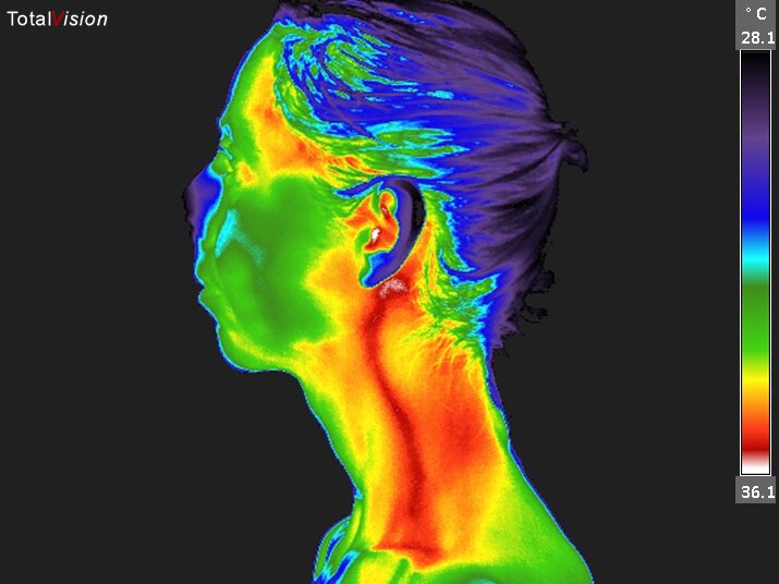 Greenville Thermography
