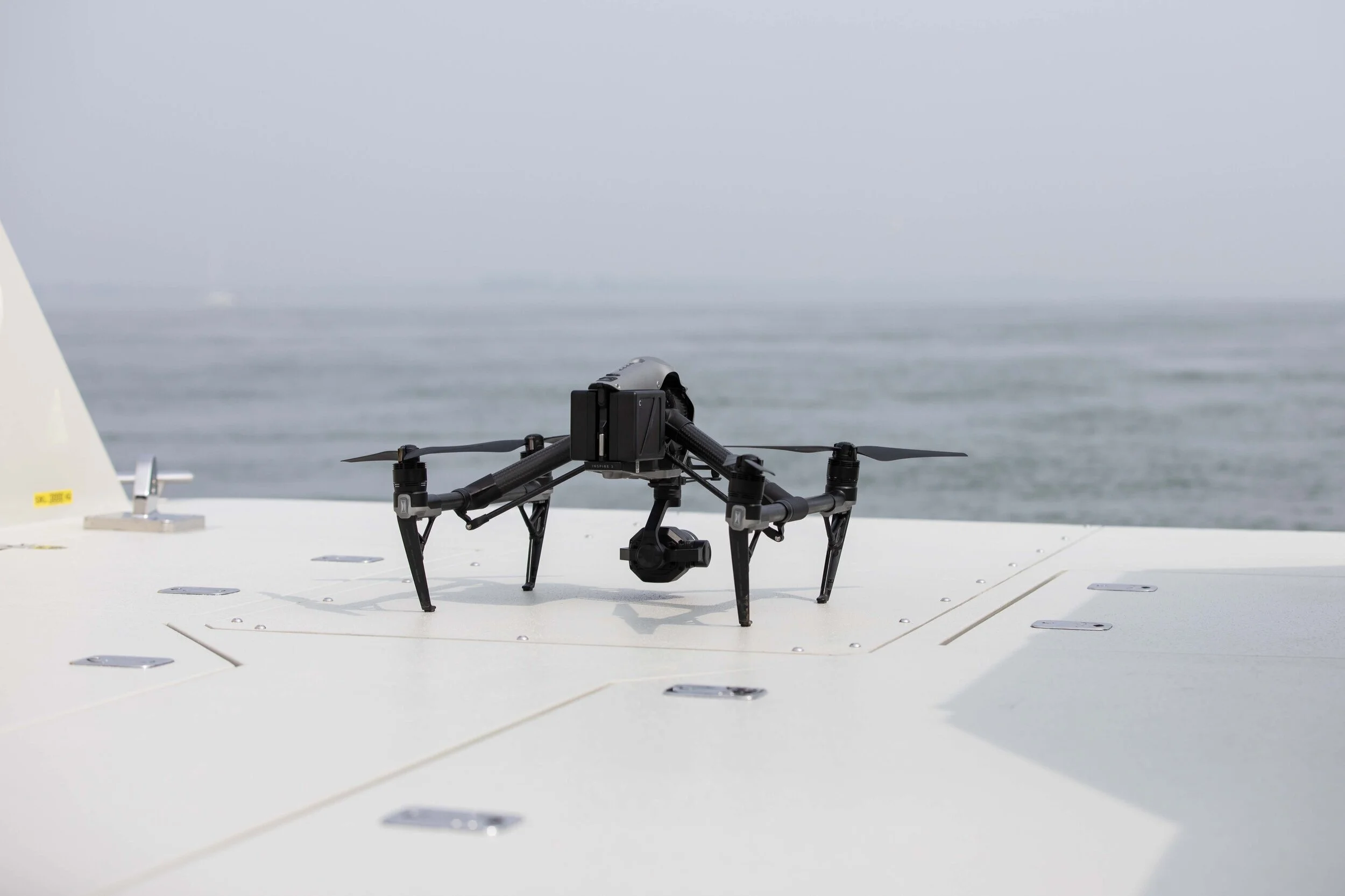 Papercut Media - Home