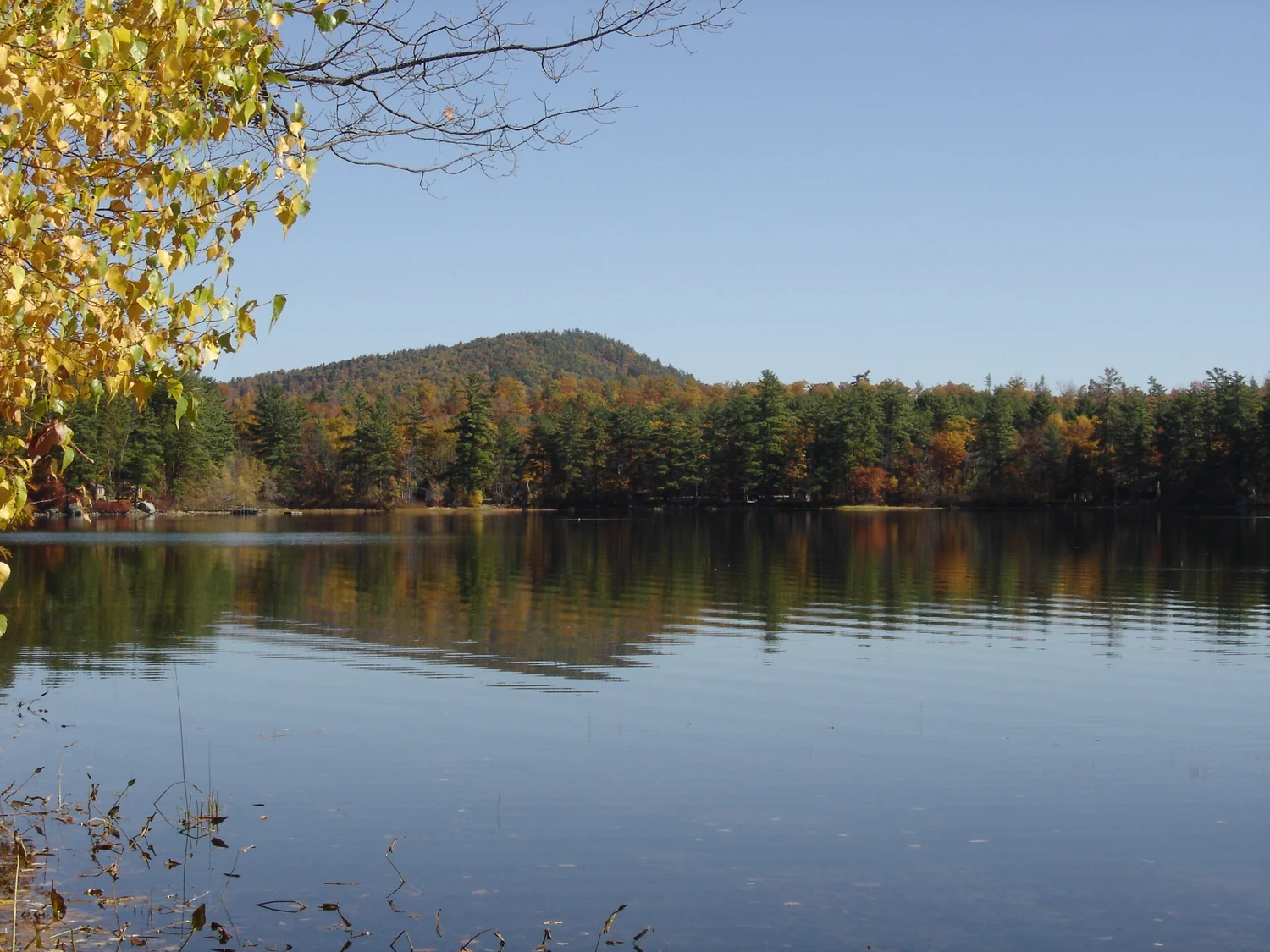 Yardscape — Cumberland County Soil & Water Conservation District