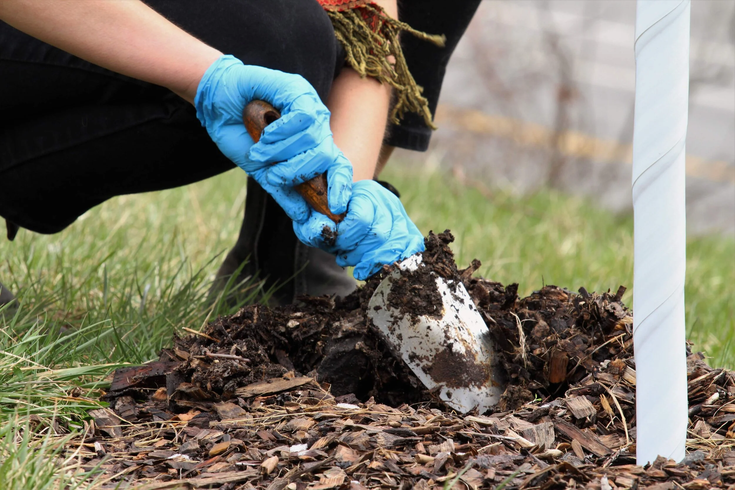 Soil Lead — Cumberland County Soil & Water Conservation District