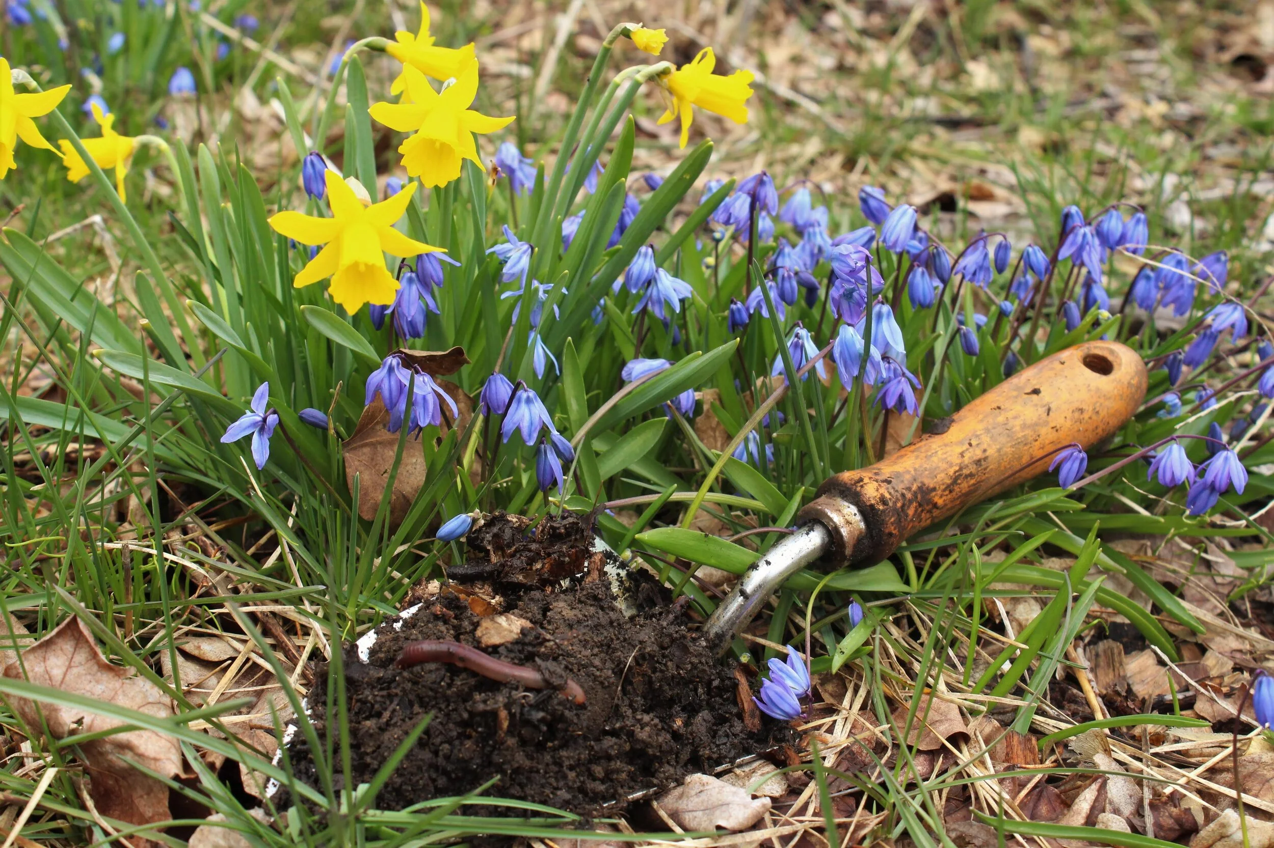 Soil Lead — Cumberland County Soil & Water Conservation District