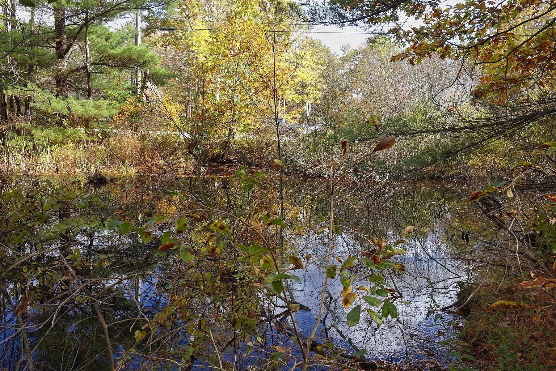 A Look at Mare Brook’s Next Decade — Cumberland County Soil & Water ...