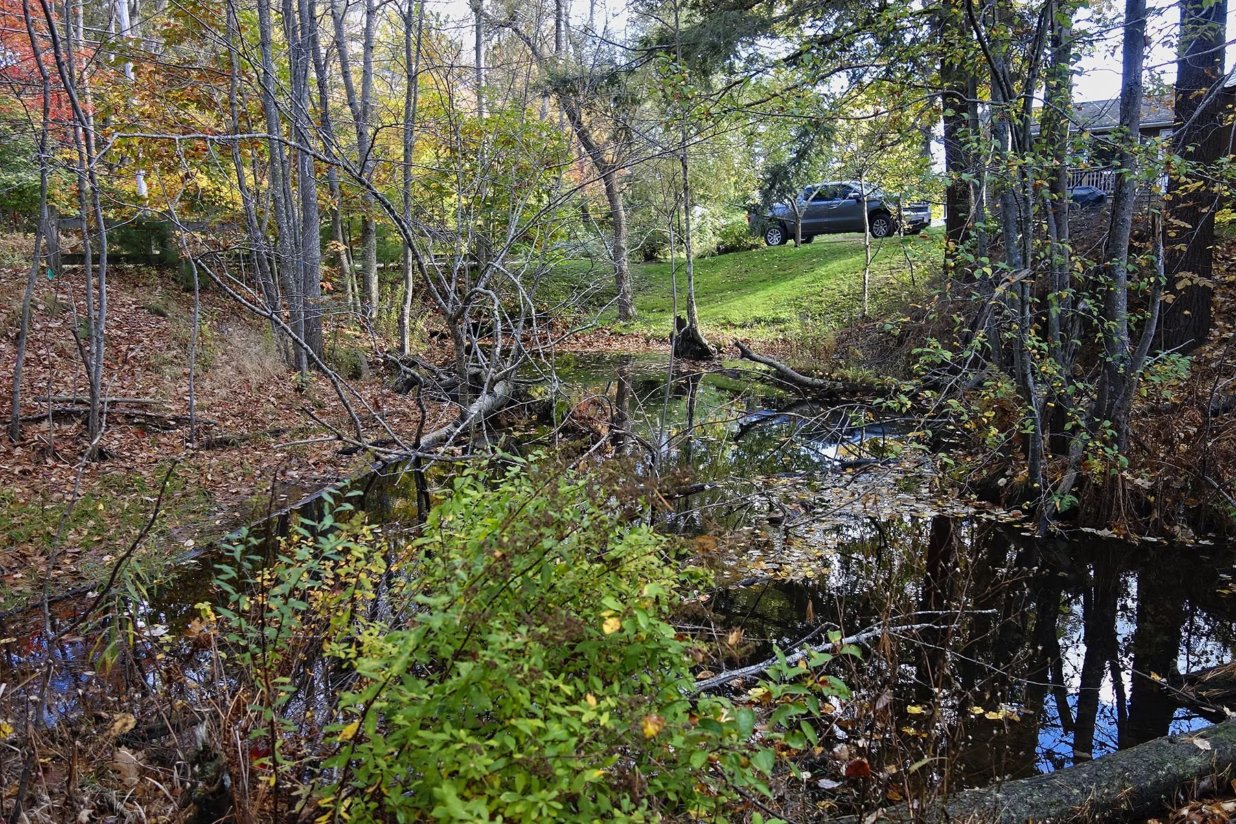 A Look at Mare Brook’s Next Decade — Cumberland County Soil & Water ...