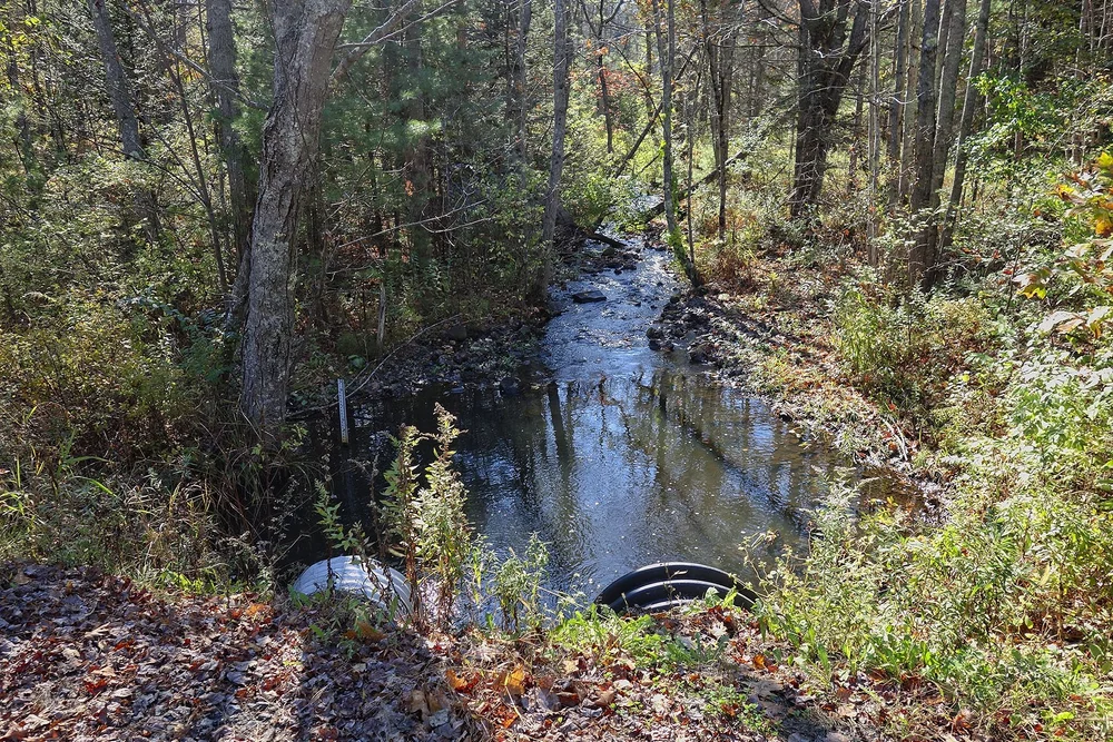 A Look at Mare Brook’s Next Decade — Cumberland County Soil & Water ...