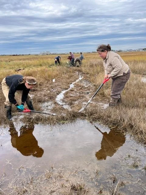 Salt Marsh Restoration — Cumberland County Soil & Water Conservation ...