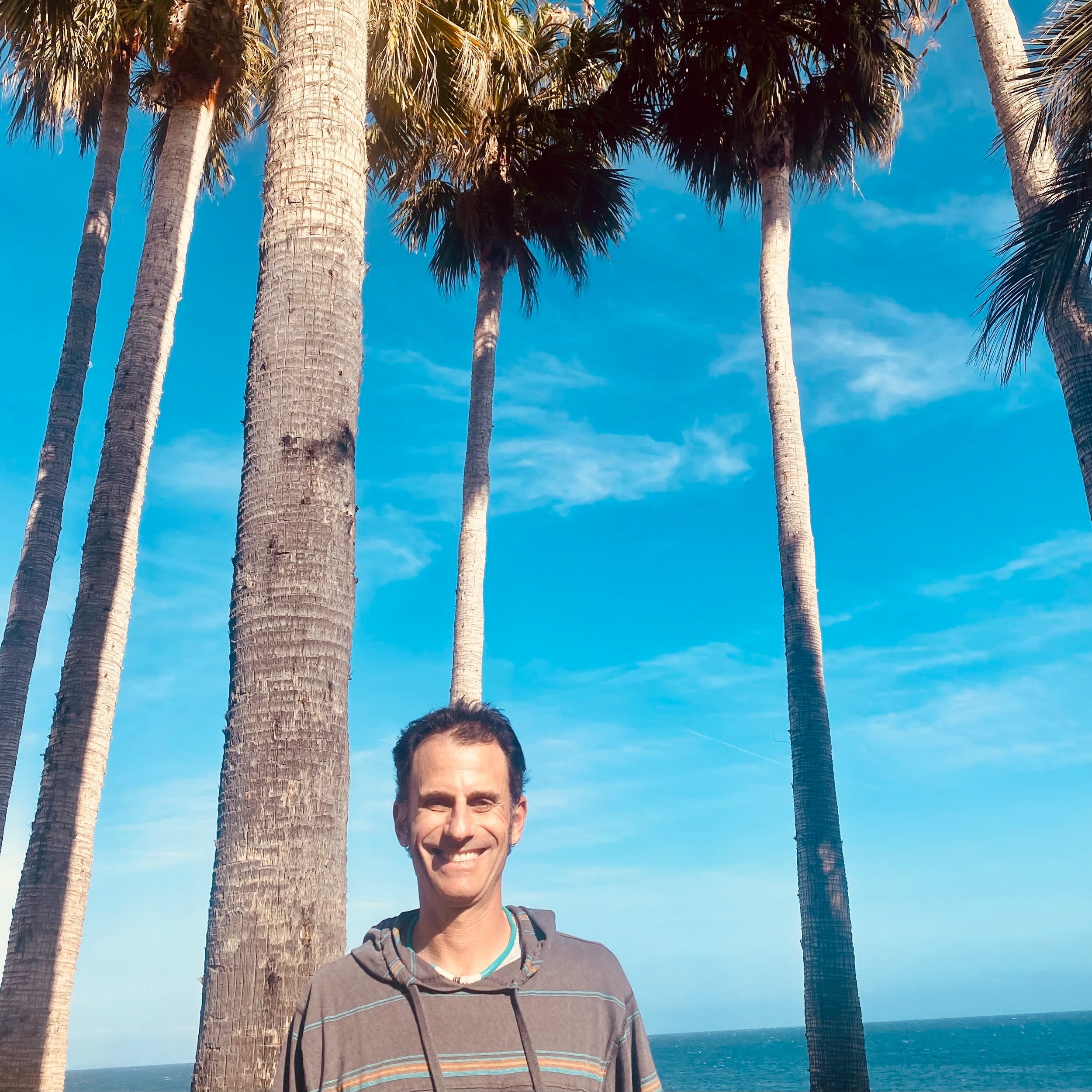 Board Members — Seas Of Trees