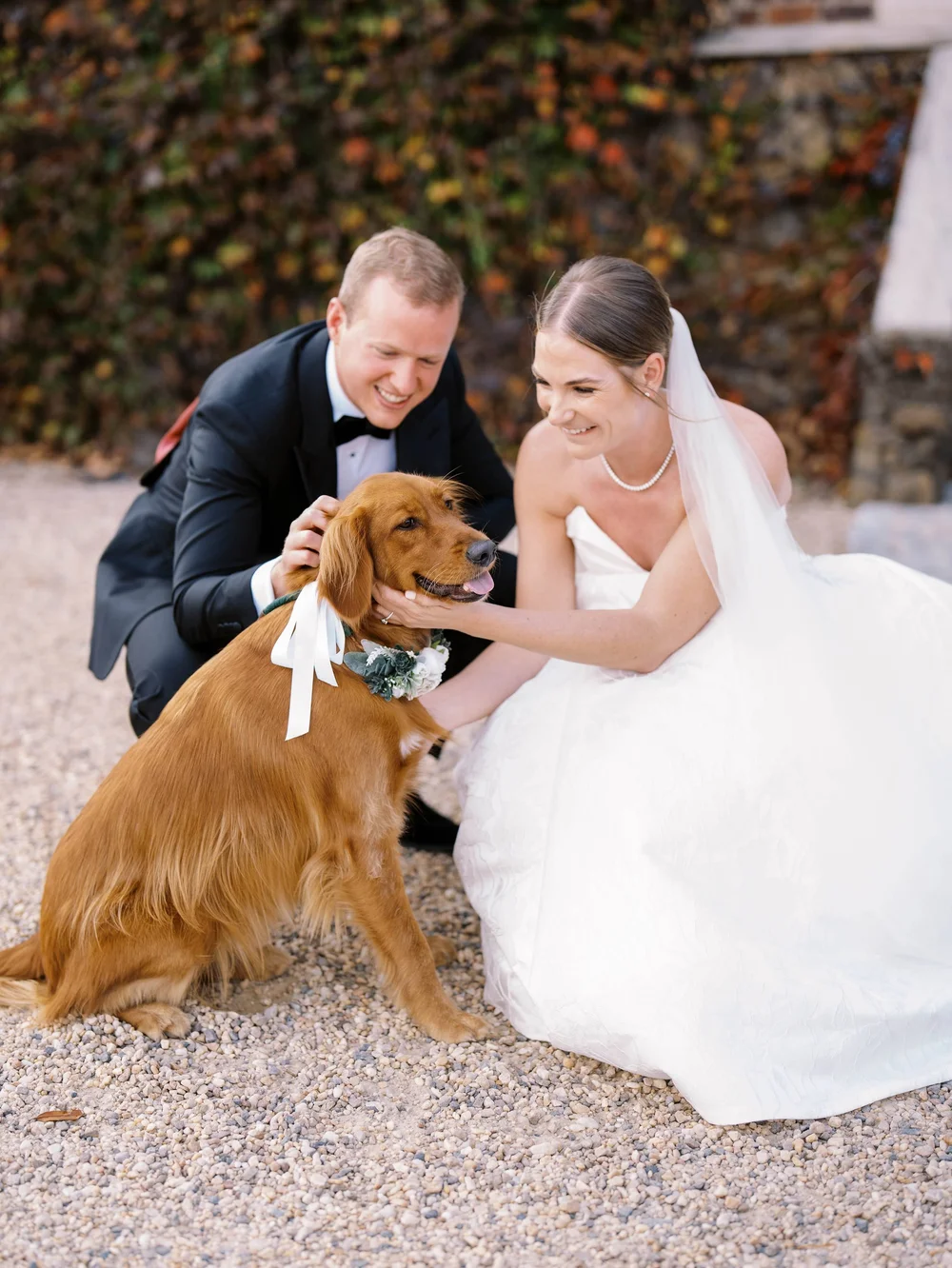 Fall Weddings — Portfolio