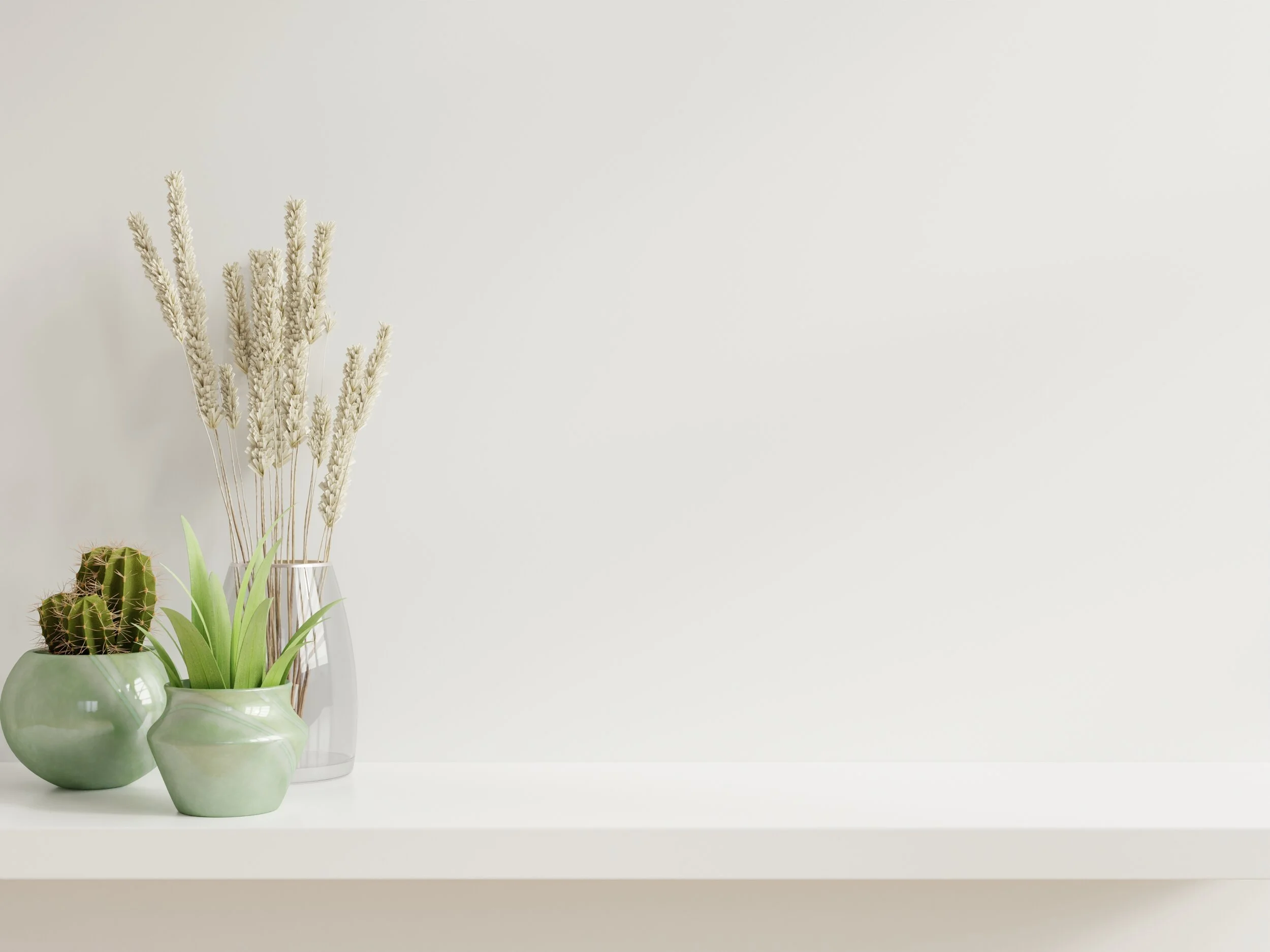 Home Organization — Clutterless Concepts