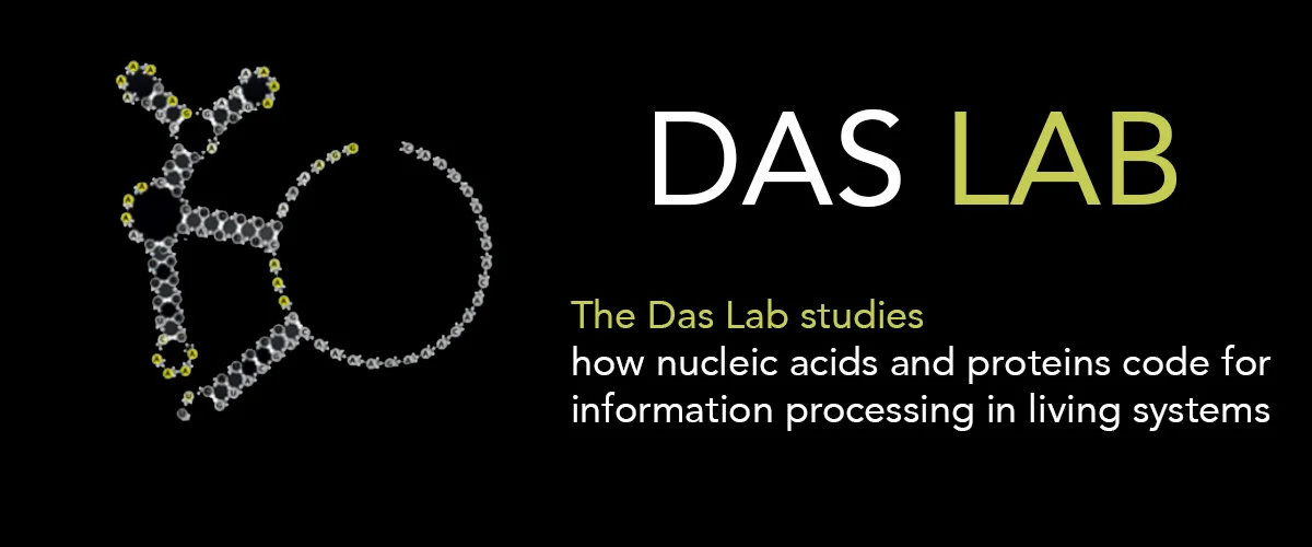 Stanford Biochemistry