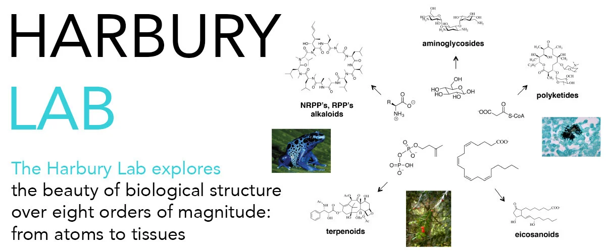 Stanford Biochemistry