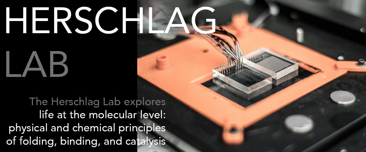 Stanford Biochemistry