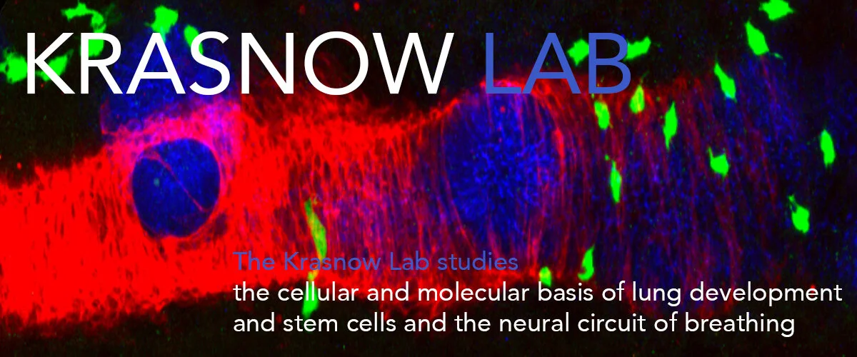 Stanford Biochemistry