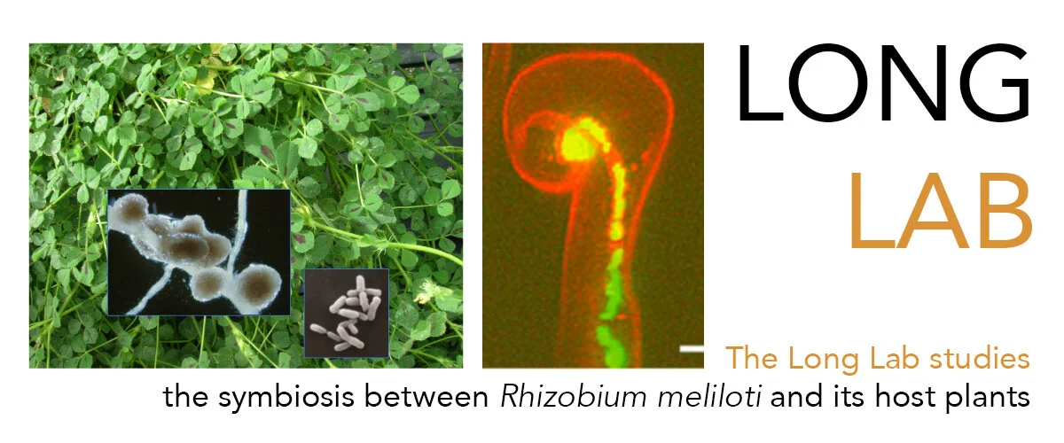 Stanford Biochemistry