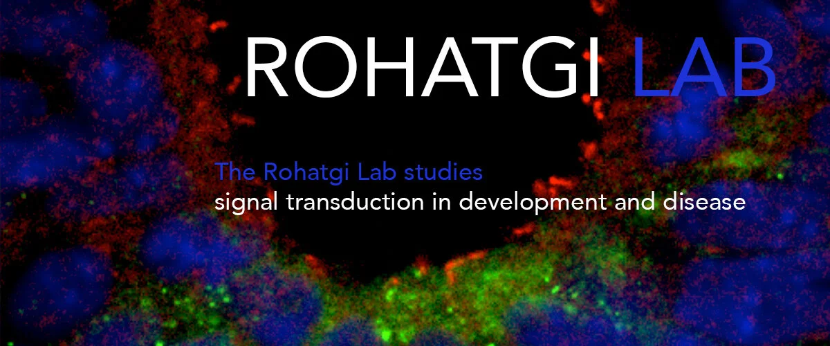 Stanford Biochemistry