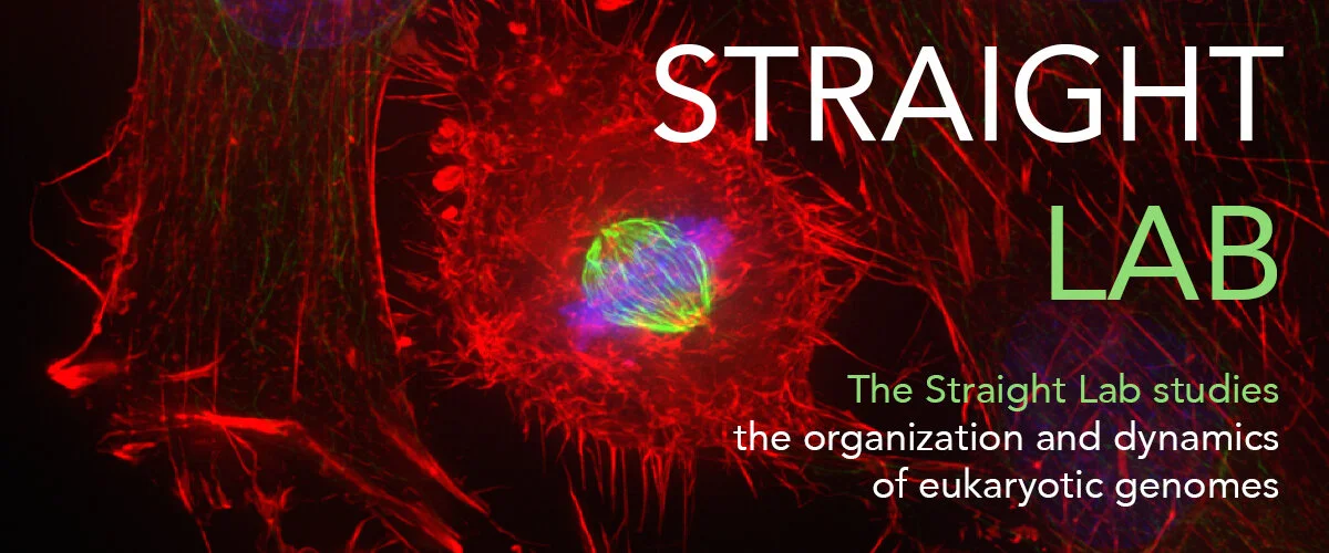 Stanford Biochemistry