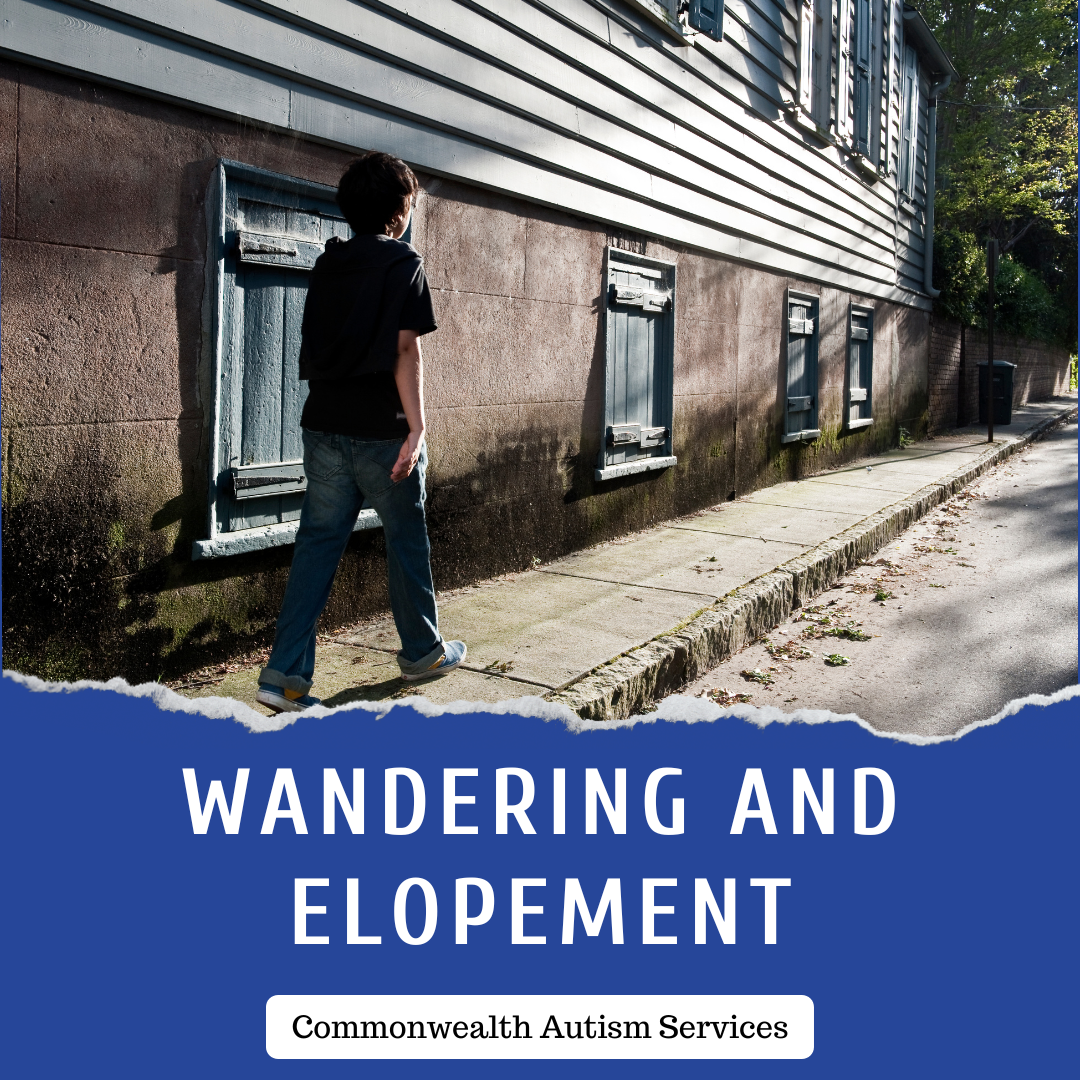 Wandering and Elopement — Commonwealth Autism Services