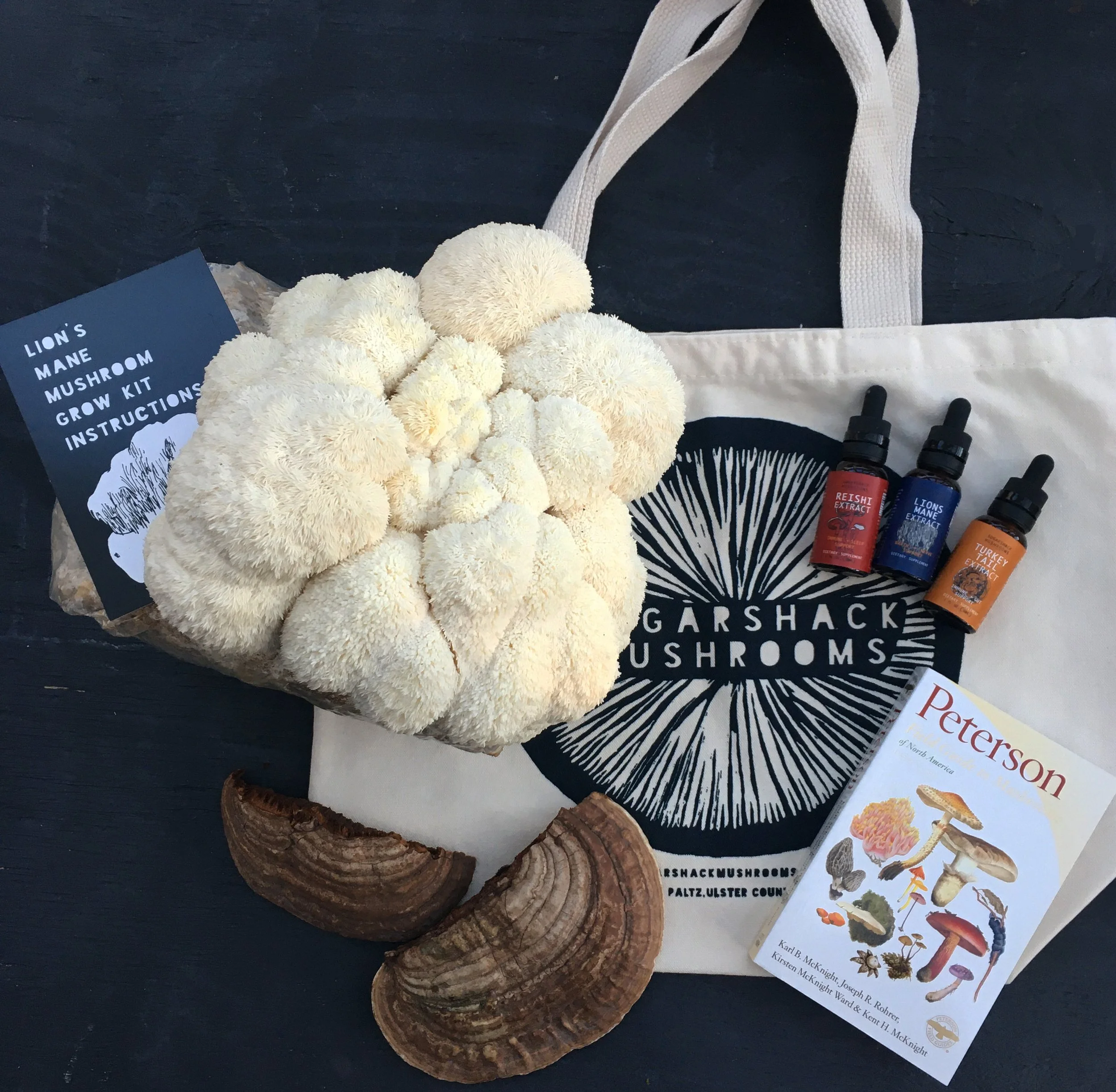 Large mushroom gift box - Sugarshack mushrooms