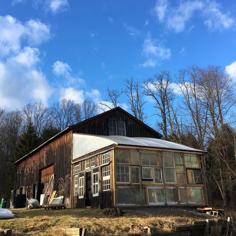 SUGARSHACK MUSHROOMS