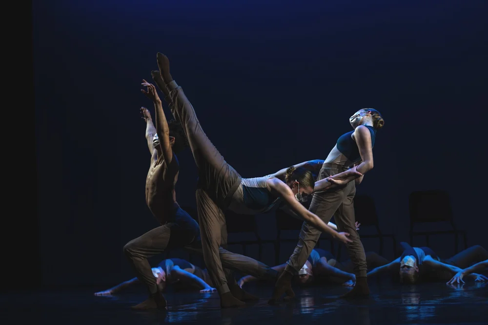 Educator — Shane Farrell