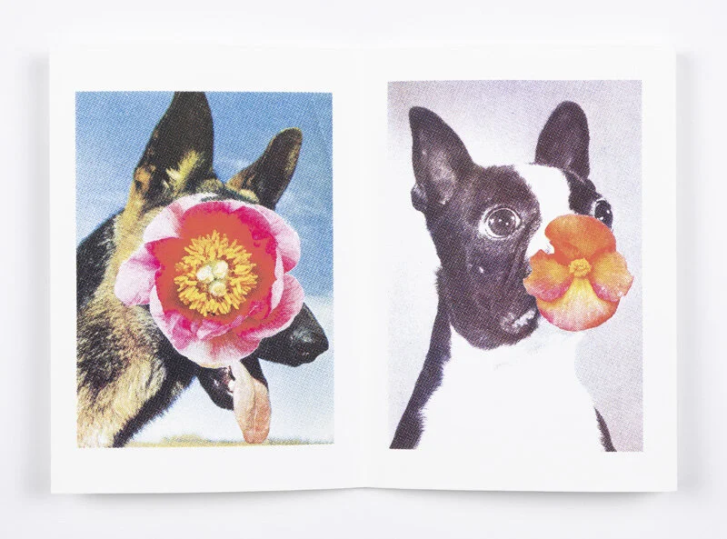 Bud Sport — Casey Deming