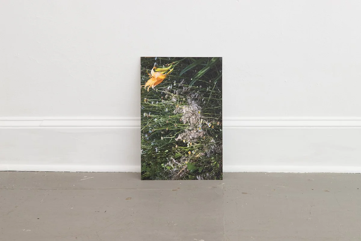 Viewfinder — Casey Deming